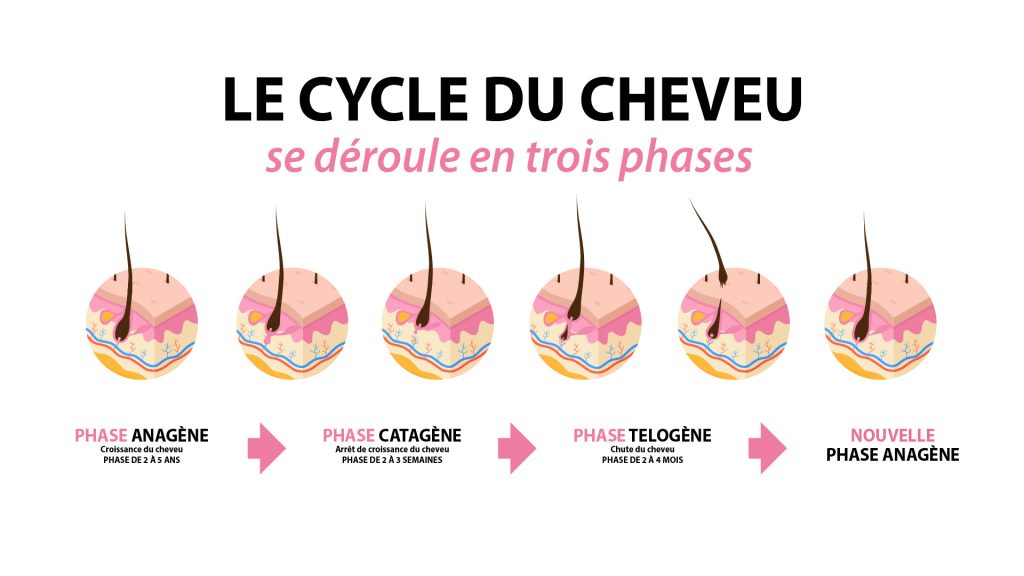 Alopécie : définition, causes, symptômes, types et traitements