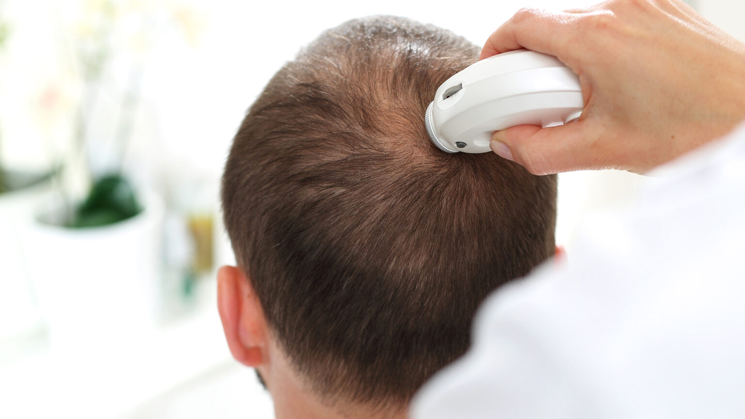 Le cycle du cheveu : comprendre le cycle de vie de vos cheveux | Body ...